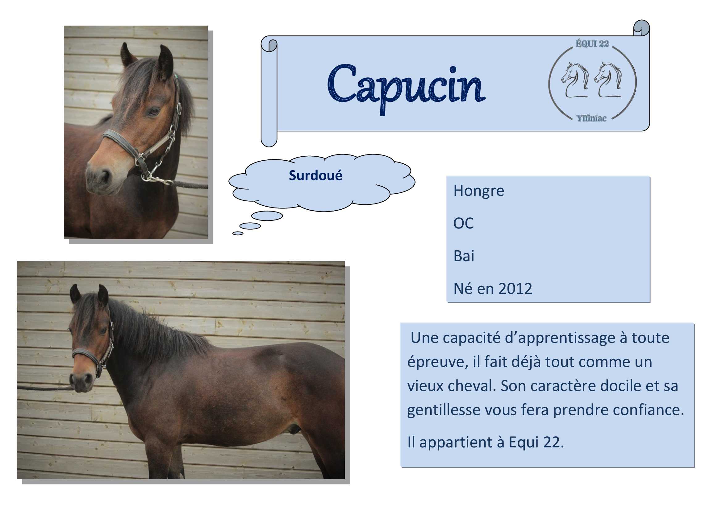 Capucin